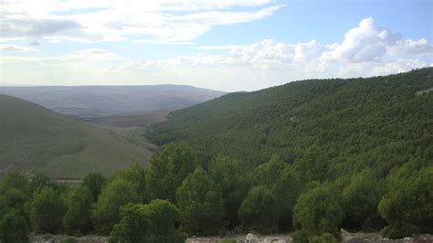 الصفحة الرسمية لمحافظة الغابات لولاية قالمة Guelma