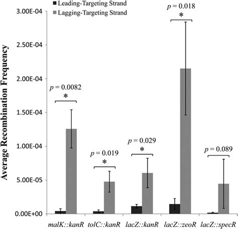 —strand Bias In Lambda Red Ssdna Insertion Recombination