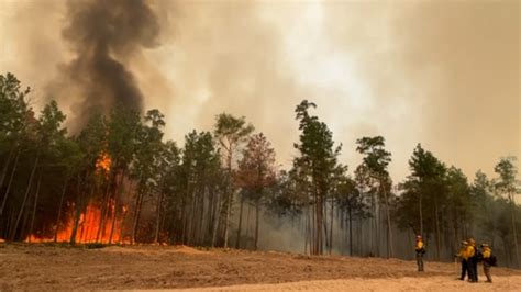 Crews Use Bulldozers Back Burns To Slow Spread Of Walker County