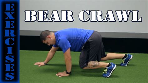 Bear Crawl Memes Get Up And Move Cards Gross Motor Cards Messy