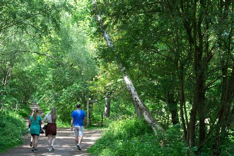 Robin Hood The Sherwood Forest Trust Charity