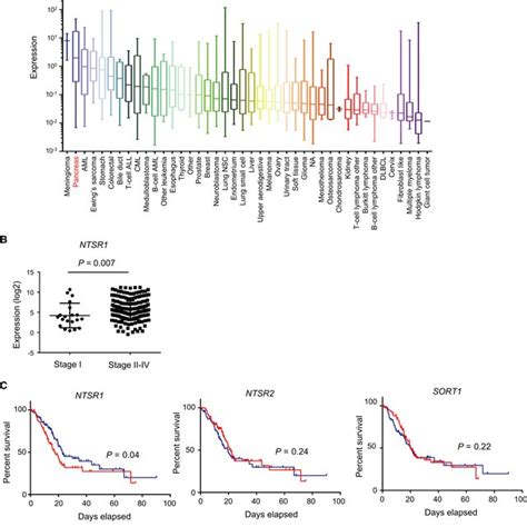 Expression Of Ntsrs In Human Pancreatic Cancer A The Expression Of
