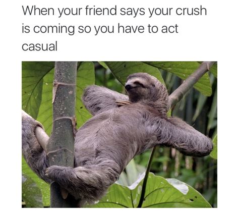 Do You Like Sloth Meme