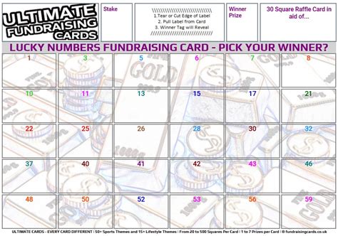 Ultimate A5 `lucky Numbers` Fundraising Raffle Draw Scratch Cards