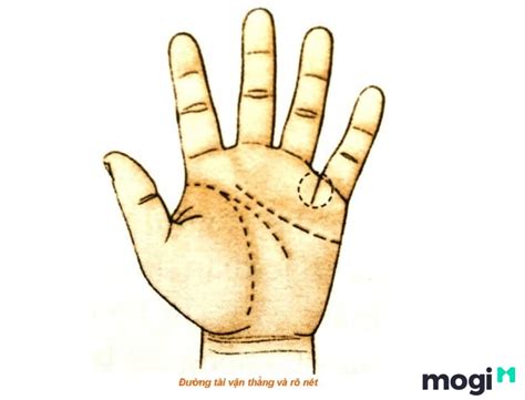 Rất Hay Cách Xem Chỉ Tay Tại Nhà Cực Đơn Giản Chính Xác Hiệu Quả