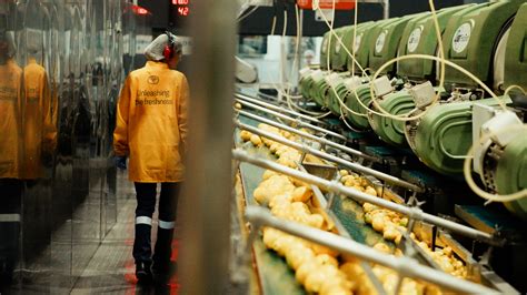 Fruitandtech Fruit Based Solutions About Us