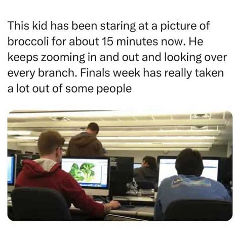 30 College Memes That Will Make You Want To Go Back To University