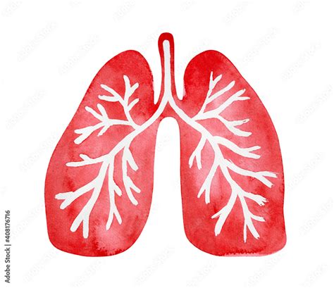 Watercolor Illustration Of Stylized Human Lungs Symbol Of Respiratory