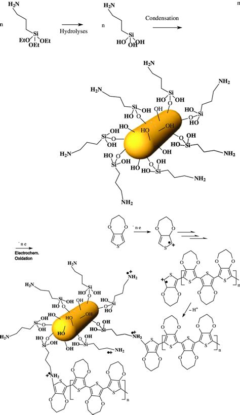 Schematic Illustration Of The Tio 2 Nanorod Surface Modification And Schematic Illustration Of The Tio 2 Nanorod Surface Modification And