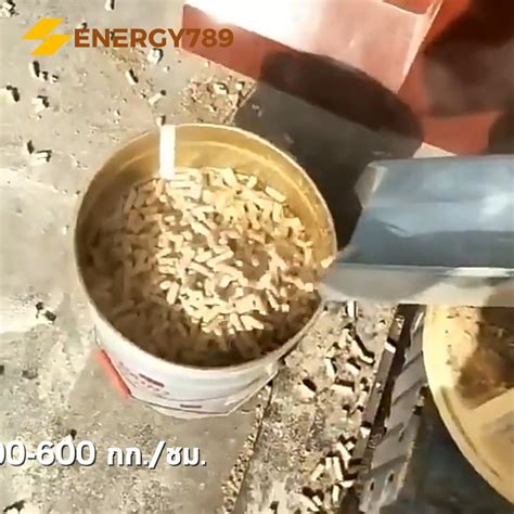 เครื่องอัดเม็ดชีวมวล เครื่องอัดแท่งเชื้อเพลิงชีวมวล รุ่น Mini Pellet