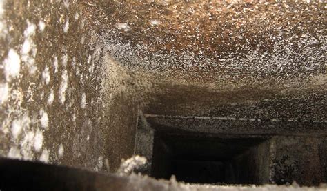 Breathing In Black Mold From Air Conditioner Air Conditioner Details
