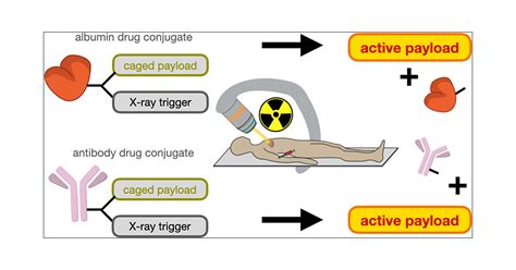 Toxicity Profile Of Antibody Drug Conjugates In Breast 43 Off