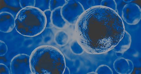 Upcoming Webinar From Mercodia And Human Cell Design Mercodia