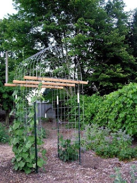 Diy Garden Trellis For Squash