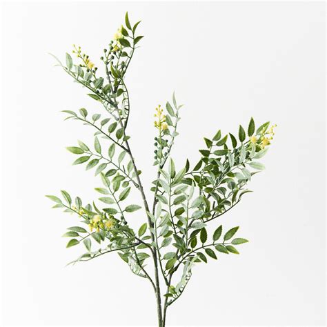 Wattle Leaf Spray Seaholly Flowers