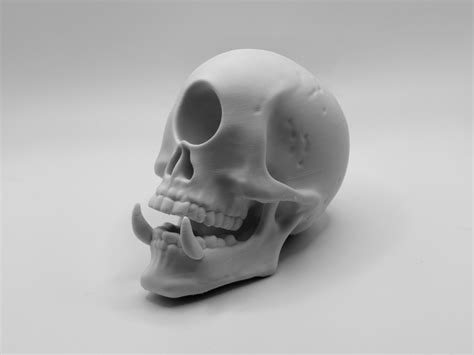 Cyclops Skull By Wif1973 Makerworld Download Free 3d Models