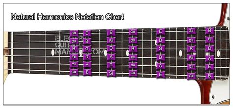 How To Play Harmonics On Guitar Different Types