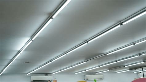 Fluorescent Light Bulbs