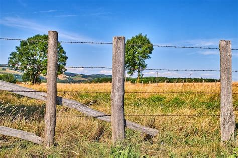 Premium Photo Farming Agriculture Field With Copy Space On Blue Sky