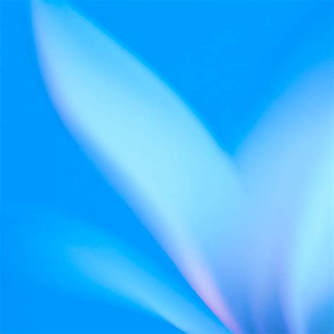 Open Models By Openai Openai