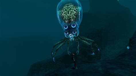 Crabsquid Fiction Taxonomy Wiki Fandom Powered By Wikia