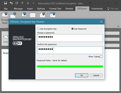 8 Ting Du Kan Gøre Med Eset Endpoint Encryption Deslock