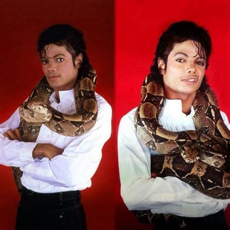 Theory Lord Voldemort Was Known In The Muggle World As Michael Jackson