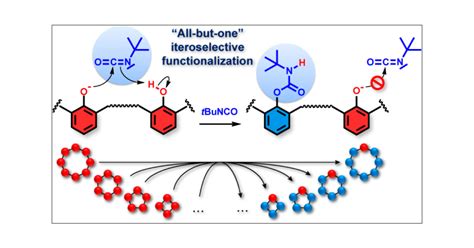Tailored Functionalization Of Polyphenol Based Molecular Platforms