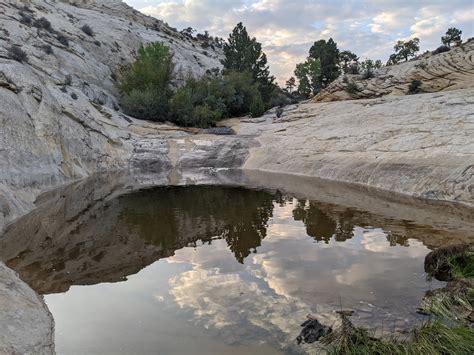 Hiking Upper Calf Creek Falls Escalante Road Trip Ryan