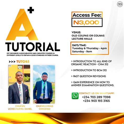 Tutorial Flyer Course Tutorial School Lessons Flyer