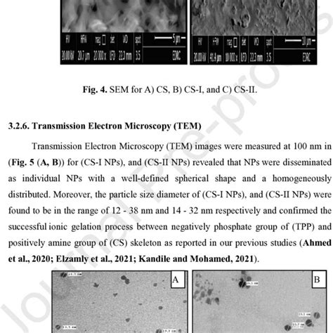 Tem For A Cs I Nps And B Cs Ii Nps Download Scientific Diagram