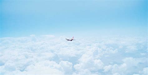 Bebbux The Culinary Adventure You Didnt Know You Needed Indulge