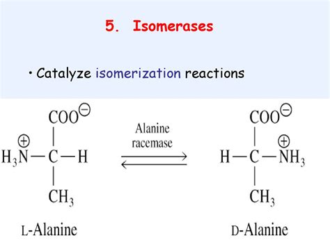 Enzymes Classification Structure Ppt Download