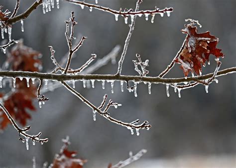A Wintry Mix Is Coming To Wisconsin That Could Create Slippery Slushy