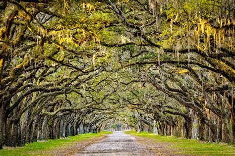 10 Best Natural Wonders In Georgia Escape To Georgias Most Beautiful