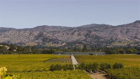 Herzog And De Meurons Dominus Winery Captured In New Photos 20 Years