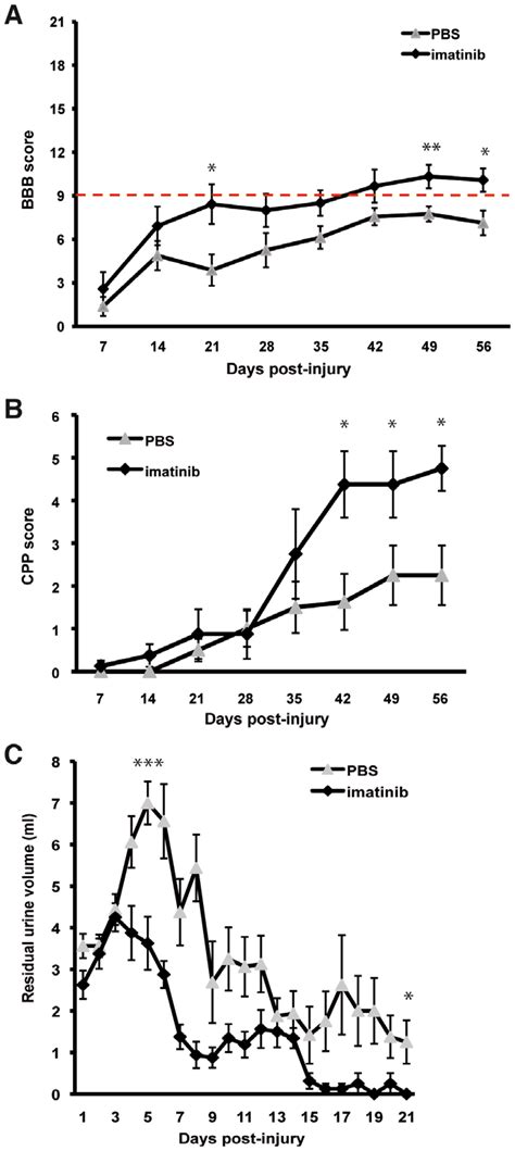 Imatinib Enhances Functional Outcome A Hindlimb Locomotor Function Download Scientific