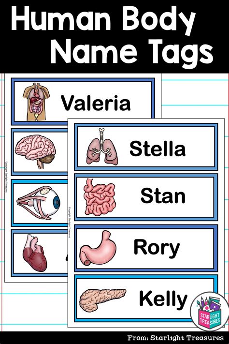 Human Body Name Tags Editable Human Body Name Body Name Human