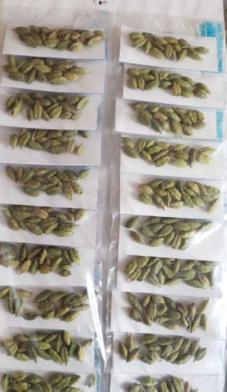 Elichi Paper Sheet Packaging Type Corrugated Boxes Plastic Containers Plastic Packets