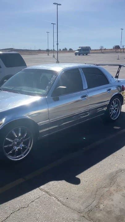 F Your Hell Cat The Kitty Muncher Youtube