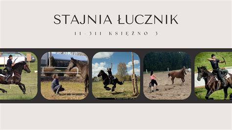 Stajnia Stajnia Dragon Tereny Sport Rekre I Reko