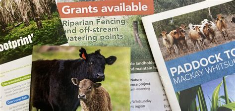 Fact Sheets Reef Catchments Fact Sheets