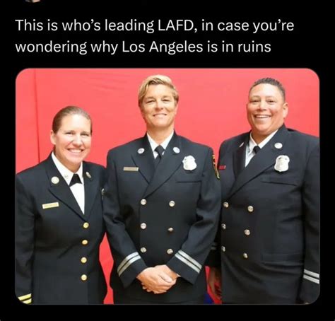 Ann Barnhardt Meme Barrage Edwins Newsletter 1