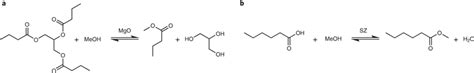 Antagonistic Reactions In Biodiesel Production A Base Catalysed
