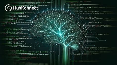 Execution Roadmap Hubkonnect