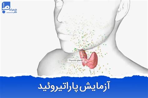 آزمایش پاراتیروئید Pth کاربرد، تفسیر نتایج و نمونه‌گیری در منزل