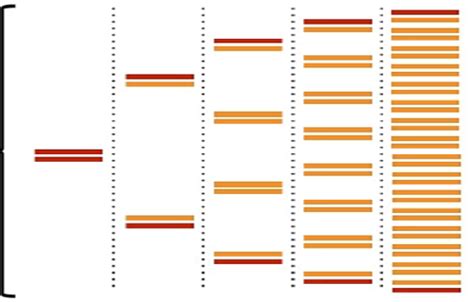Bio120 Lecture 17 And 18 Dna Replication Background Flashcards Quizlet