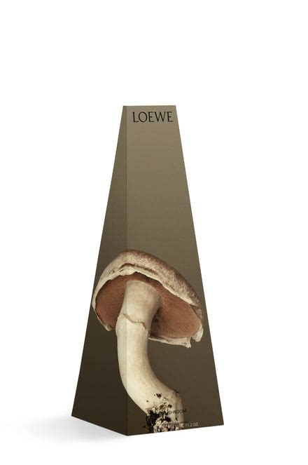 Loewe 推出蘑菇和榛子味香氛 Nowre现客