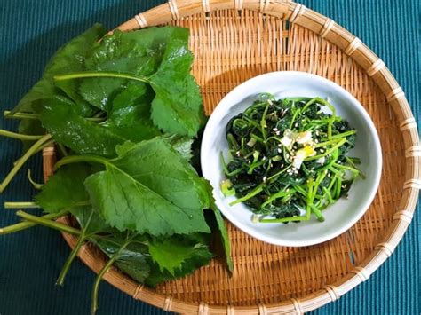 Resep Chwinamul Tumis Aster Scaber Topwisata