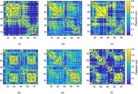 Simulated Functional Connectivity Matrices Deploying The Weighted